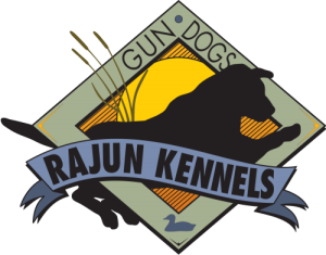 Rajun Kennels